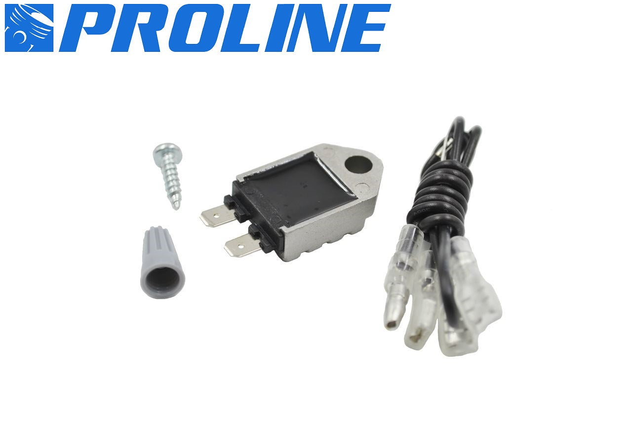 Proline® Electronic Ignition Chip Replaces Points For Stihl, Husqvarna ...