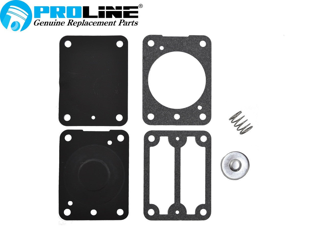Proline® Fuel Pump Kit For Briggs & Stratton 693502 Engine 422707 4227 ...